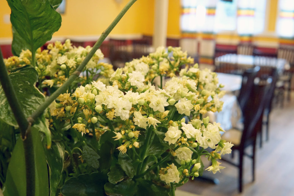 Adey Abeba | Authentic Ethiopian Restaurant in Seattle’s Central District